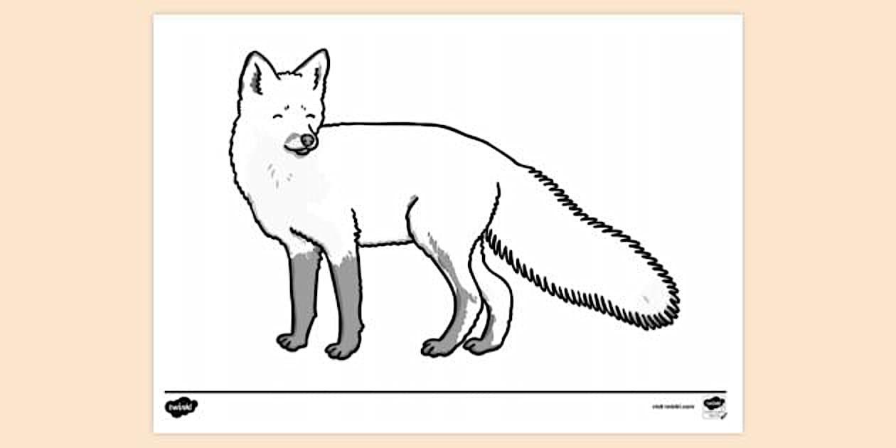 Fox Colouring | Colouring Sheets (teacher made) - Twinkl