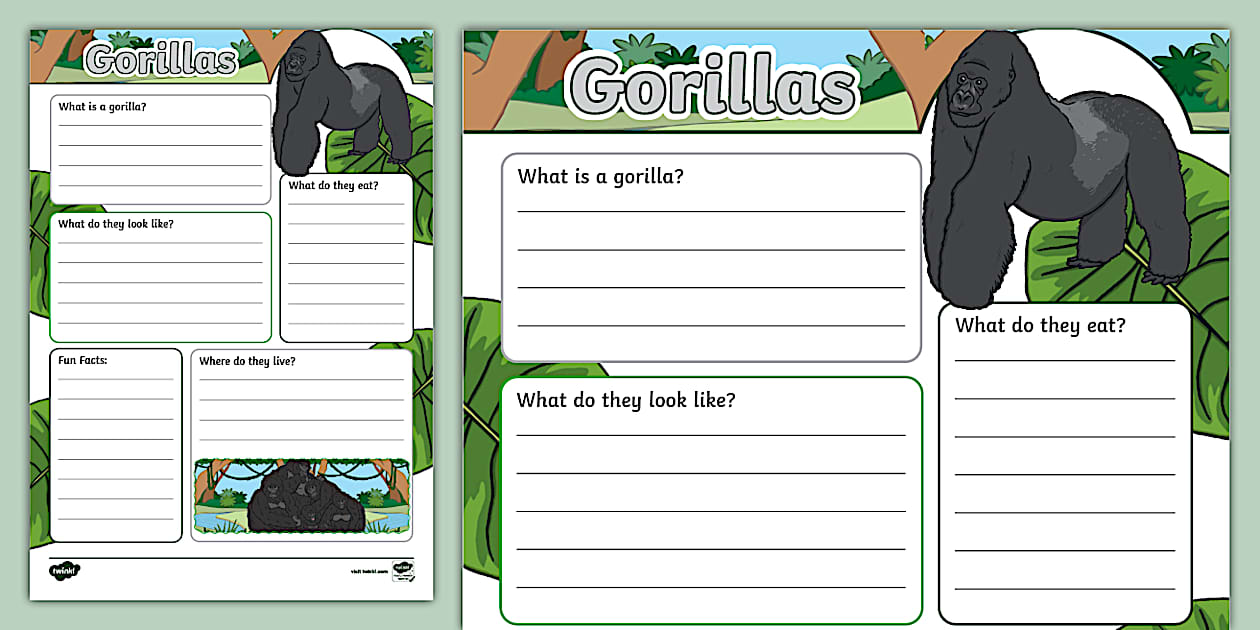 KS1 Gorillas Fact File Template (teacher made) - Twinkl