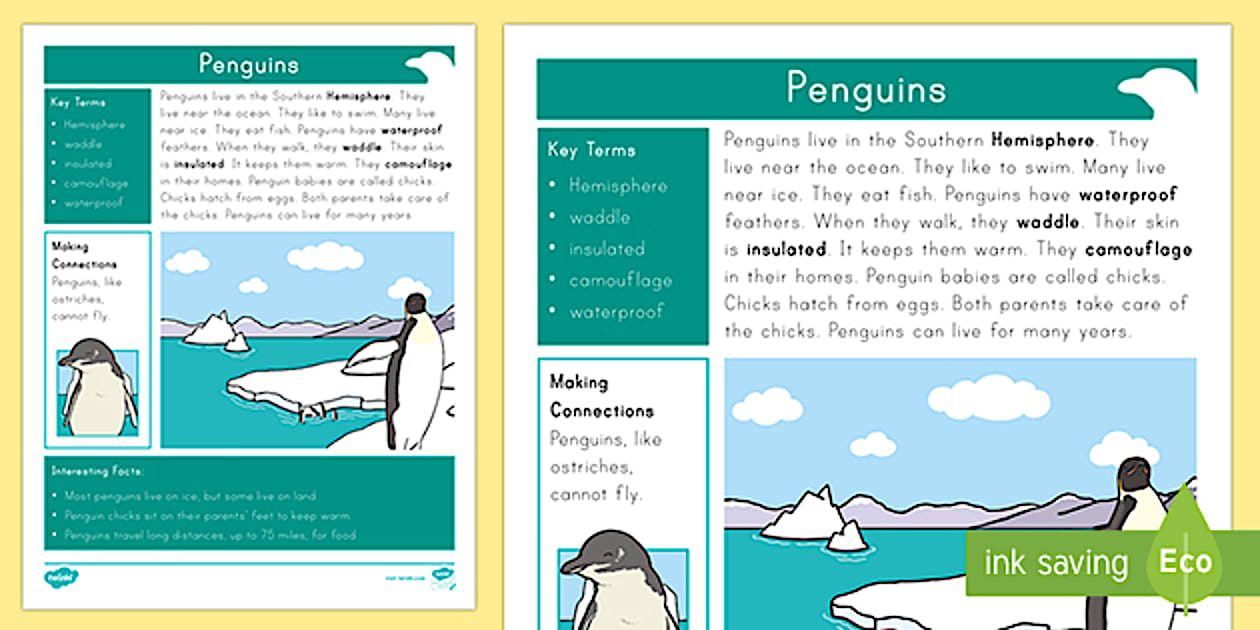 Editable Kindergarten Penguins Fact File - Twinkl