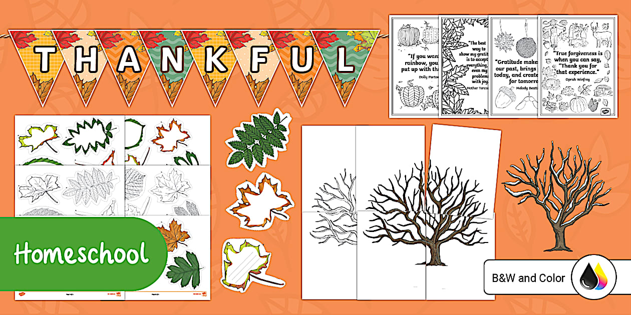 Family Gratitude Tree Display Pack (teacher made) - Twinkl