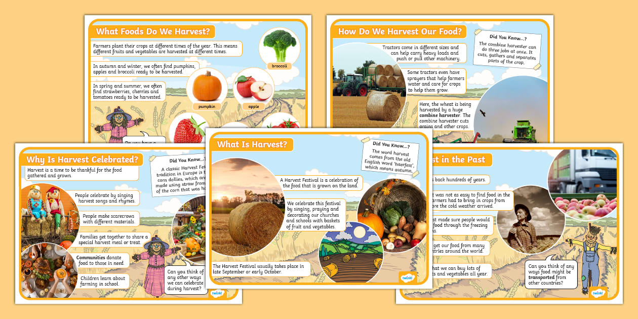 EYFS All About Harvest Fact Files | Twinkl (teacher made)