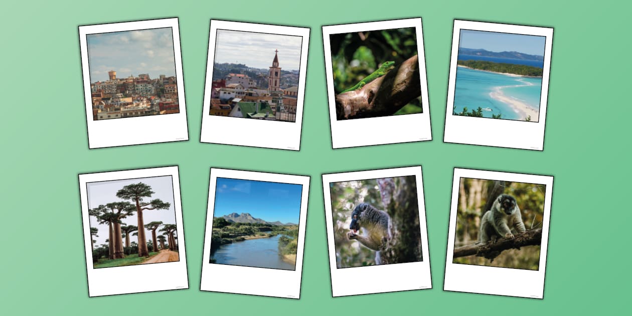 Madagascar Instant Photo Style Display Images - Twinkl