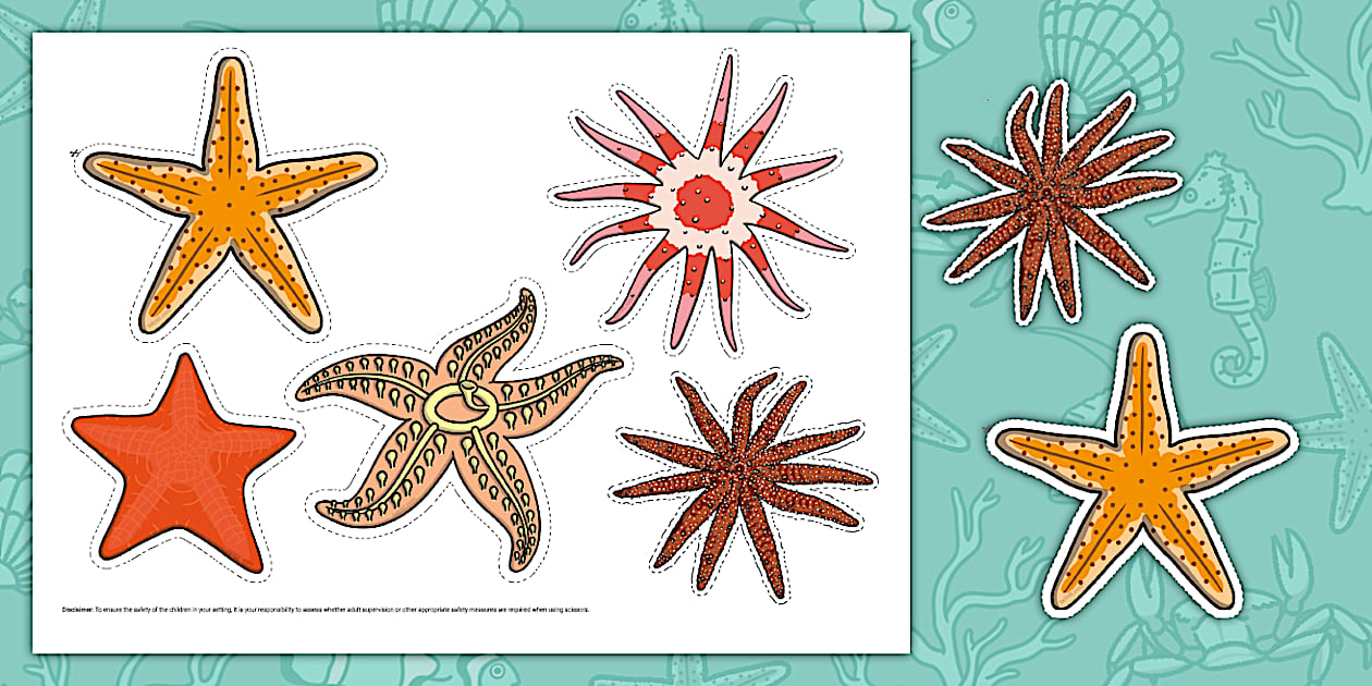 Starfish Display Cut-Outs (teacher made) - Twinkl