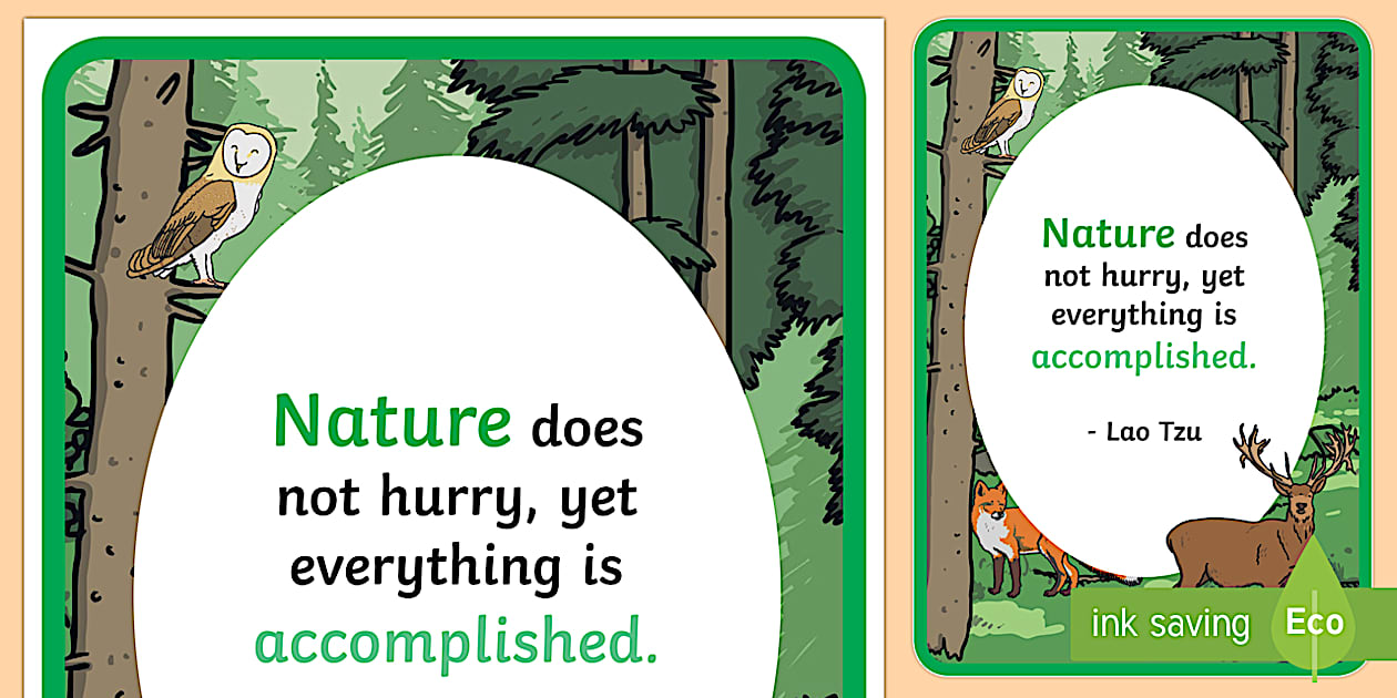 Woodland Creatures Inspirational Quote by Tzu Poster