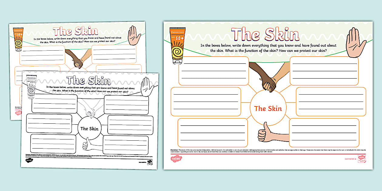 The Skin Mind Map (Teacher-Made) - Twinkl