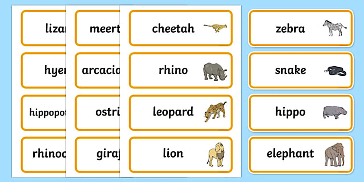 Safari Word Cards (teacher made) - Twinkl