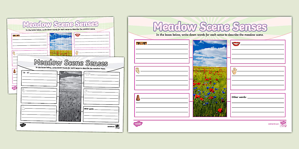Meadow Scene Senses Mind Map (Lehrer gemacht) - Twinkl