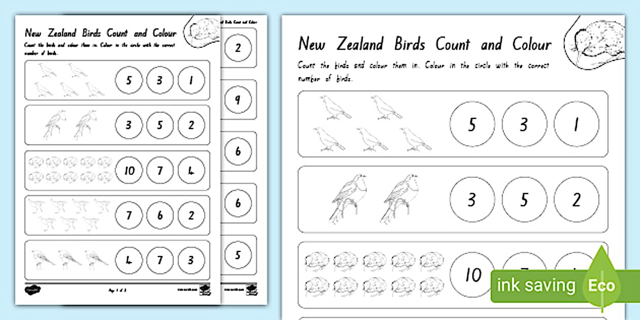 Editable New Zealand Birds Count and Colour Activity