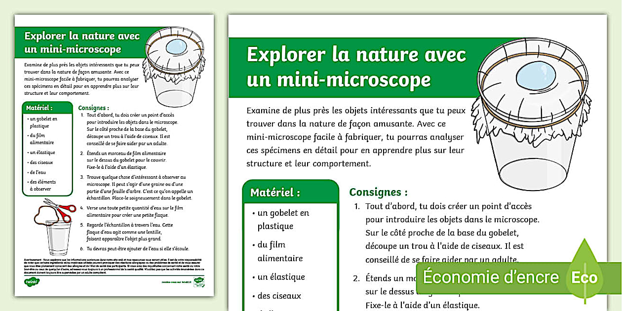 Explorer la nature à travers un mini-microscope - Twinkl