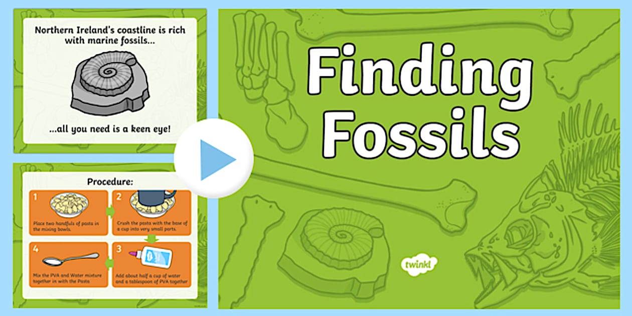 Finding Fossils PowerPoint (Teacher-Made) - Twinkl