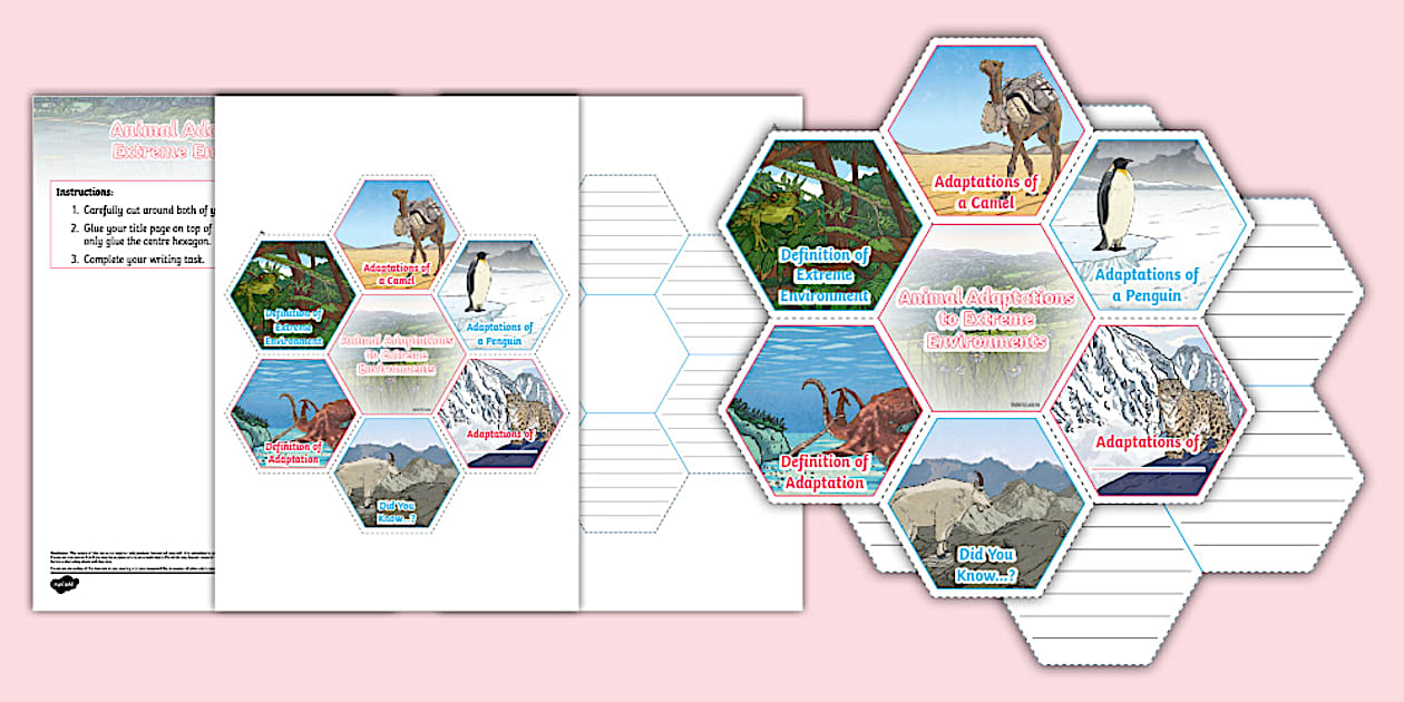 * NEW * Animal Adaptations to Extreme Environments Writing Template