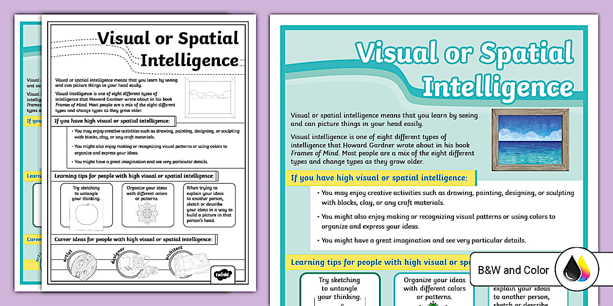Visual or Spatial Intelligence Poster (teacher made)
