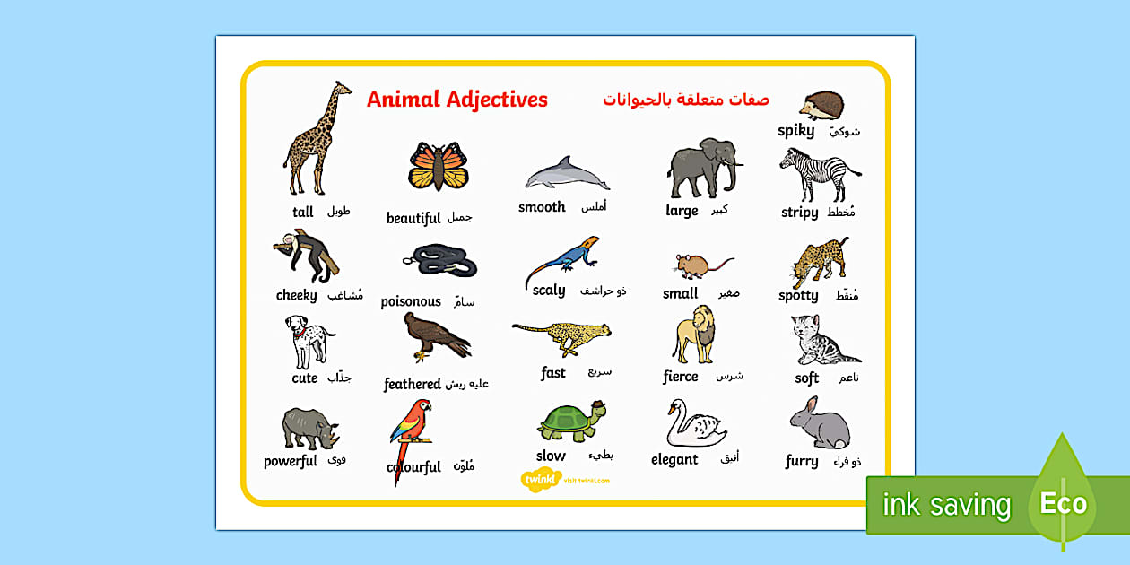 Animal Adjectives Word Mat Arabic/English (teacher made)