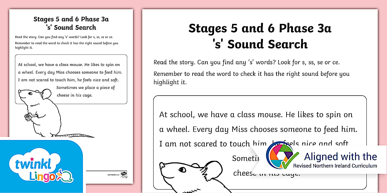 Northern Ireland Linguistic Phonics 3a ‘s’ Sound Search Worksheet