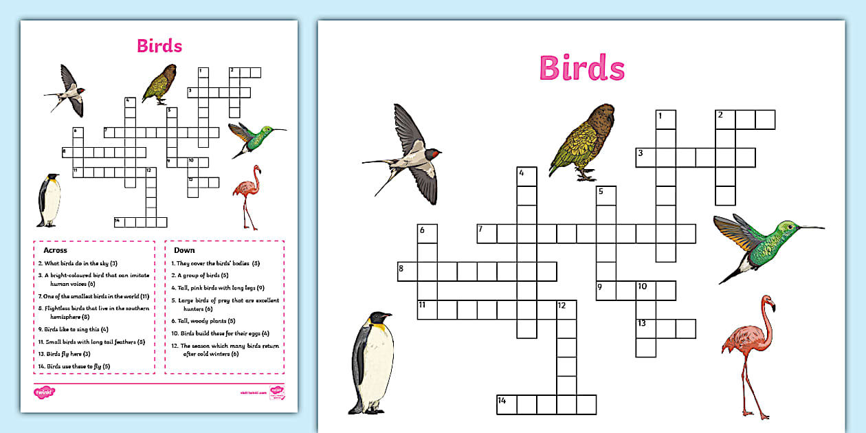Bird Crossword Puzzle (teacher made) - Twinkl