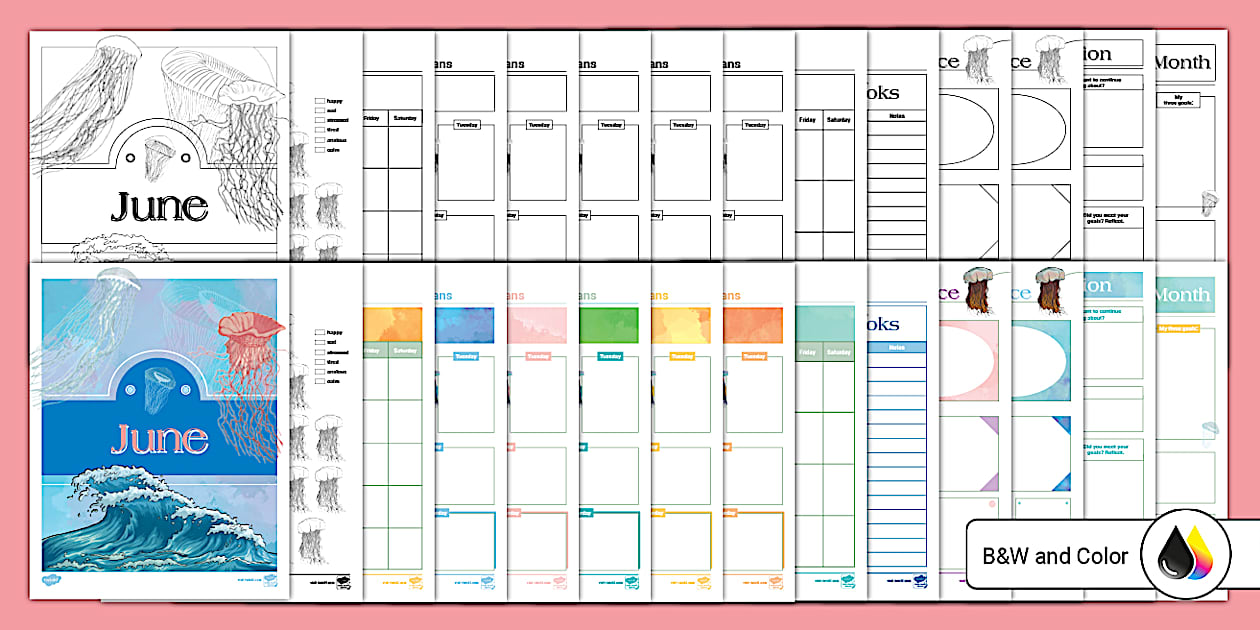 June Homeschool Planner Pages (teacher made) - Twinkl