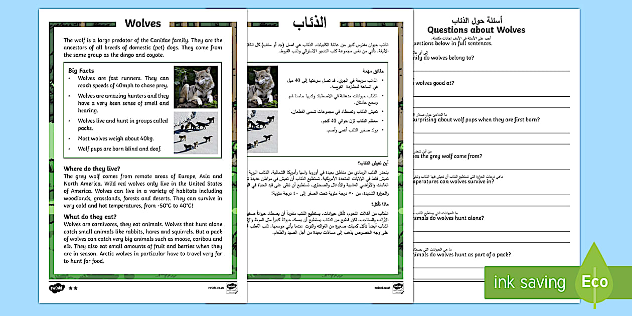 Lower Ability Wolves Differentiated Reading Comprehension Activity