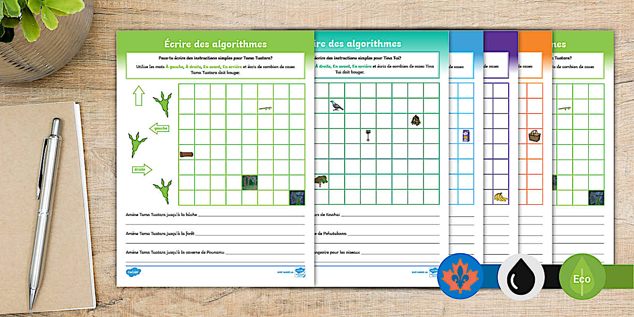 Computer Free Coding Activity French Translation - Twinkl