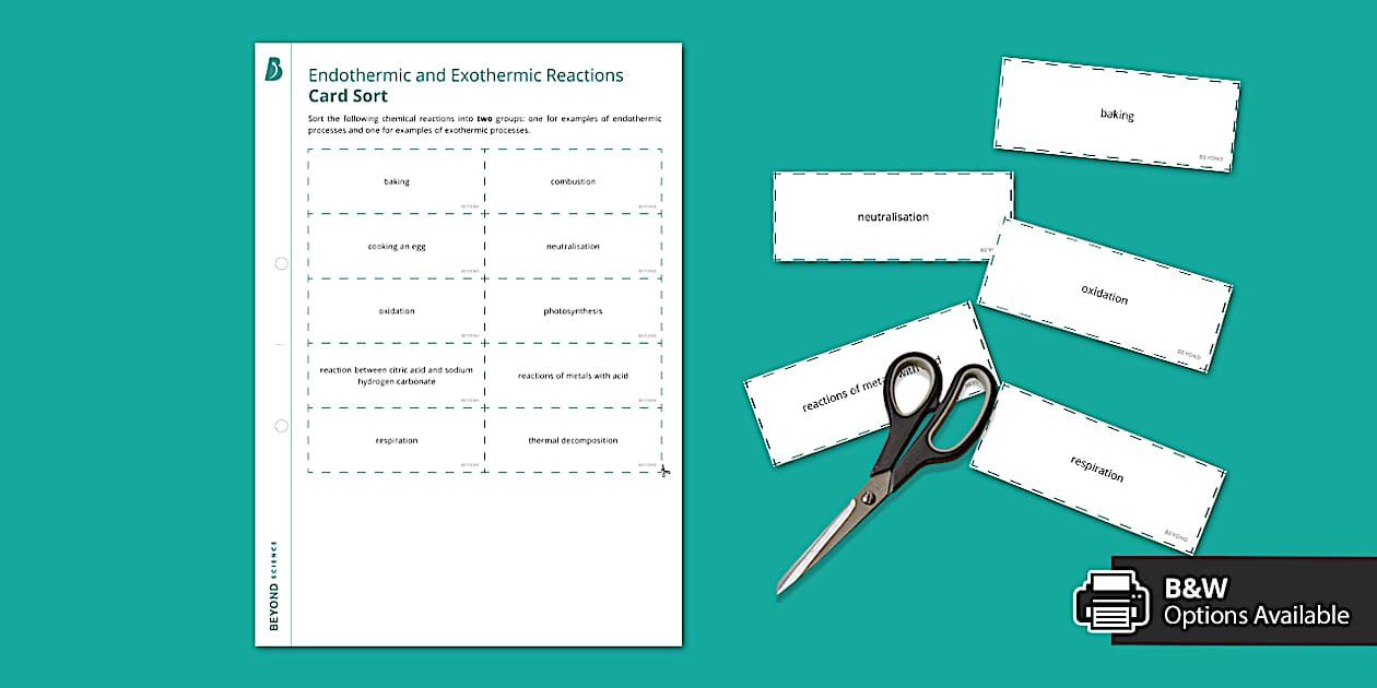 Endothermic and Exothermic Card Sort | Beyond Science