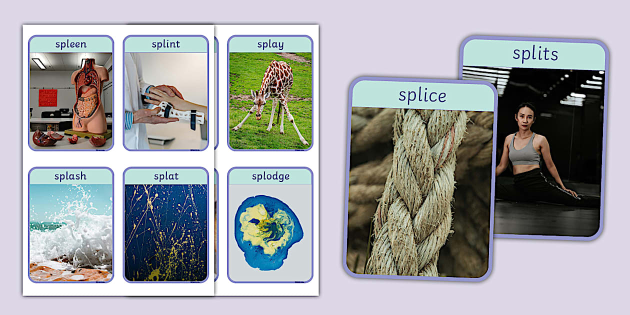 SPL Words Photo Flashcards (teacher made) - Twinkl