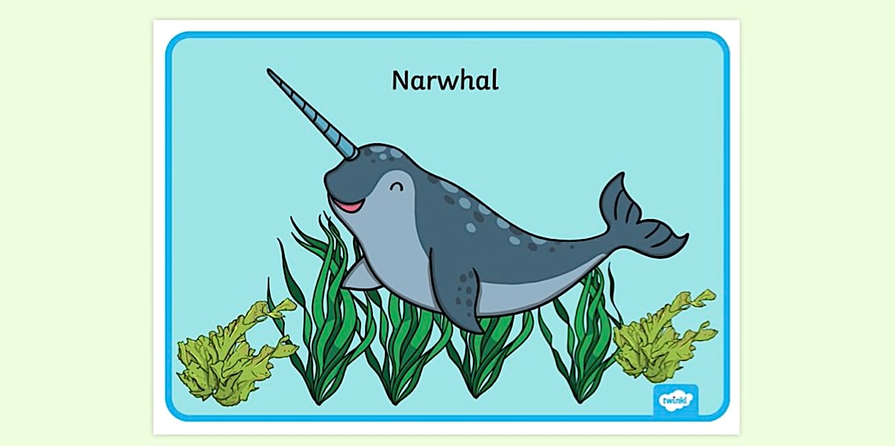 Narwhal Poster for Kids | EYFS and KS1 Resources | Twinkl