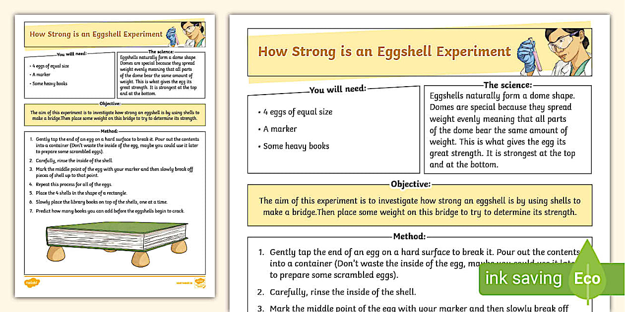 How Strong is an Eggshell Experiment (teacher made) - Twinkl