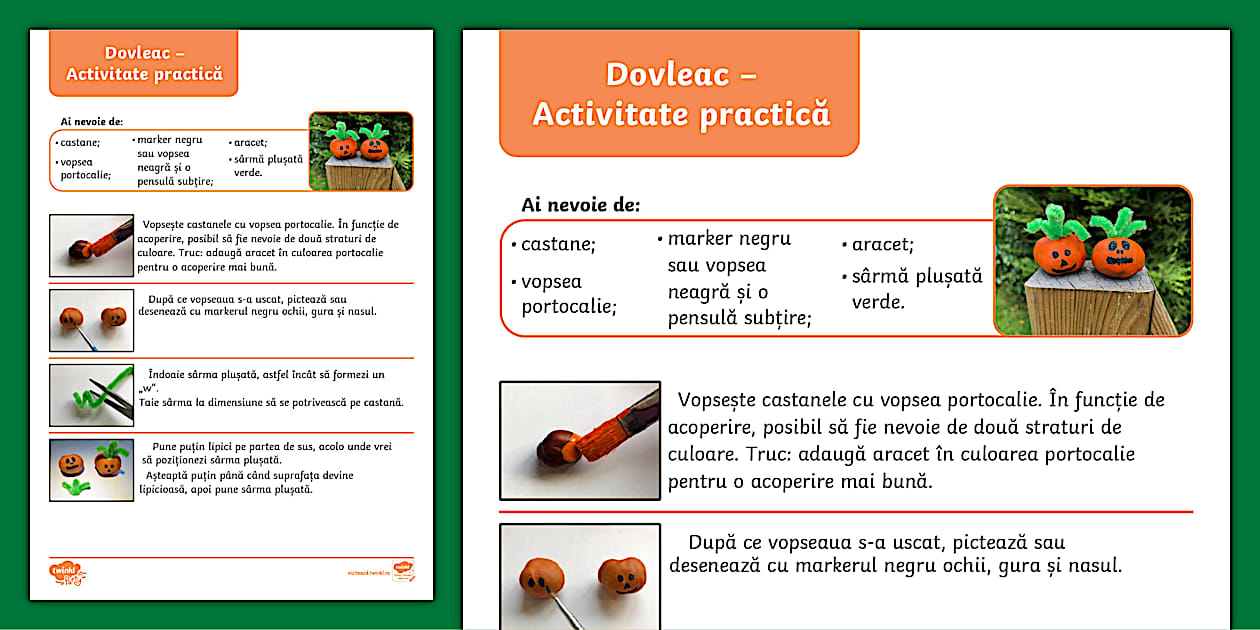 AVAP: Dovleac – Activitate practică de toamnă