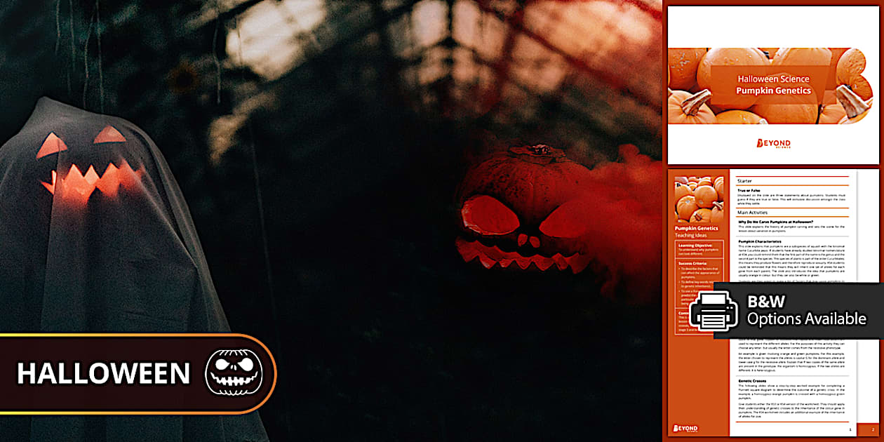 Pumpkin Genetics Halloween Lesson Pack | Biology | Beyond