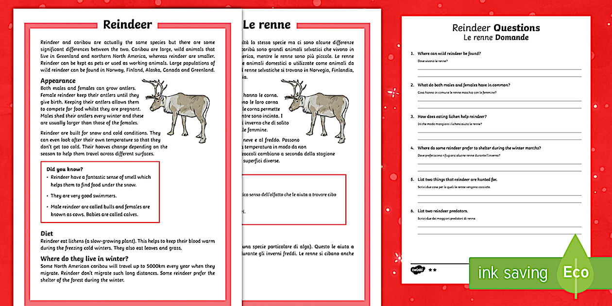 Reindeer Differentiated Reading Comprehension Activity English/Italian