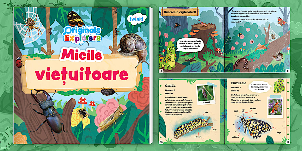 Micile viețuitoare – eBook Originals Explorers - Twinkl