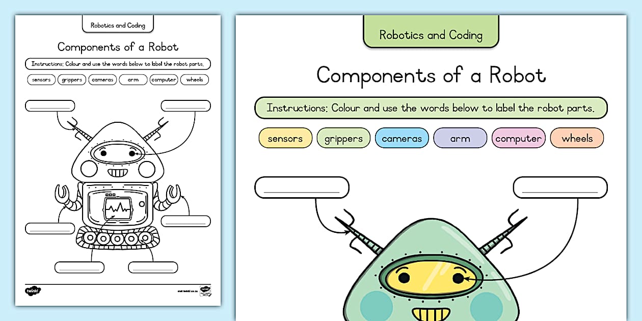 Robotics and Coding Parts of a Robot (teacher made)