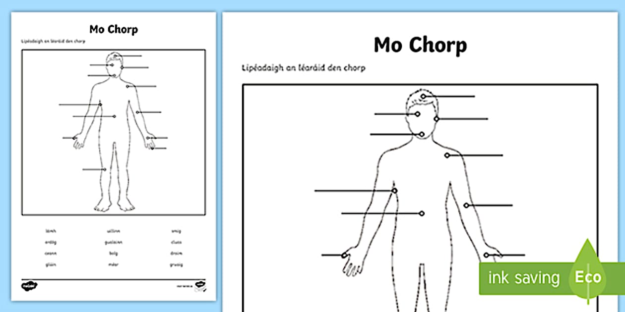 My Body Matching Activity Gaeilge (teacher made) - Twinkl