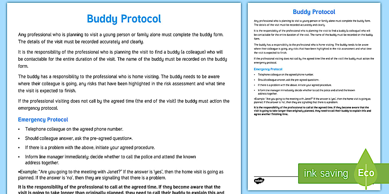 Buddy Protocol Young People & Families Case File Recording Template