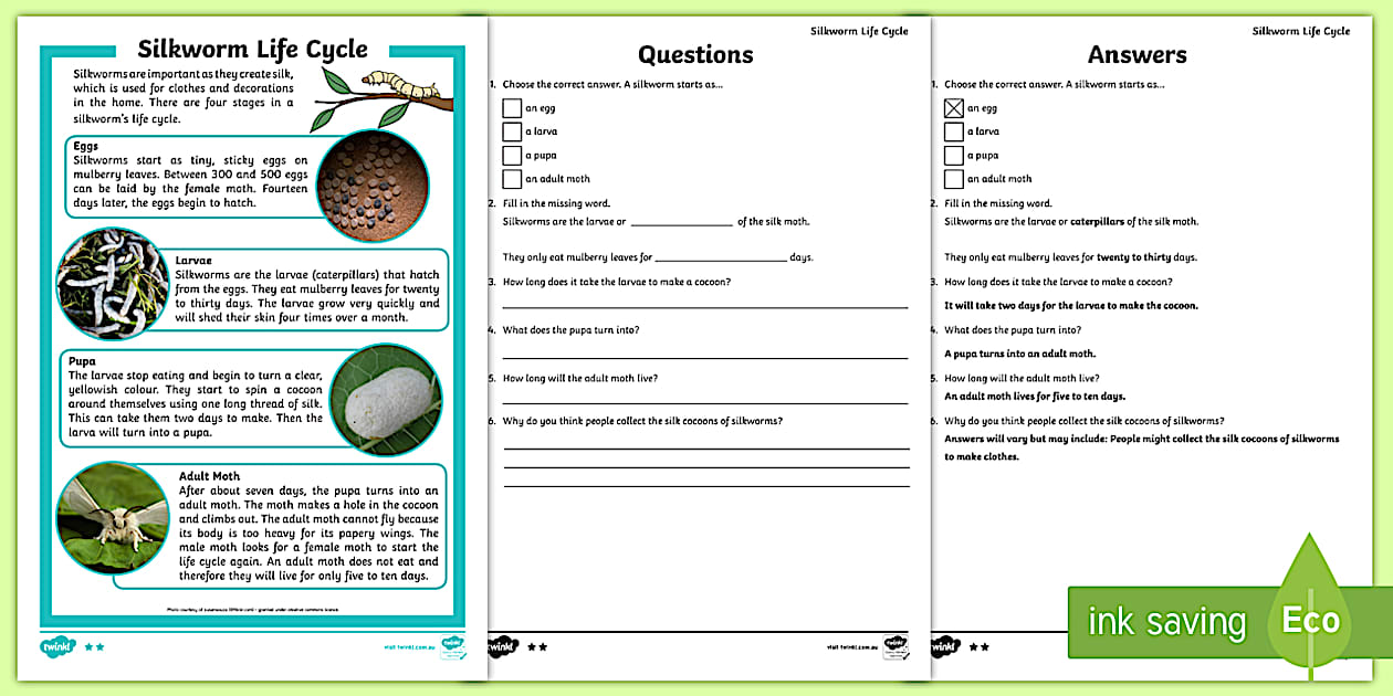 F-2 Silkworm Life Cycle Differentiated Reading Comprehension Activity