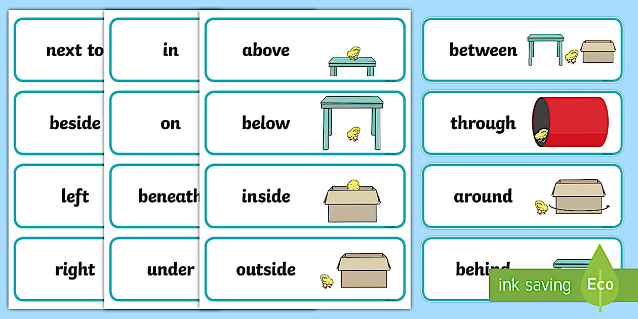 Spring Chick Themed Positional Language Vocabulary Cards