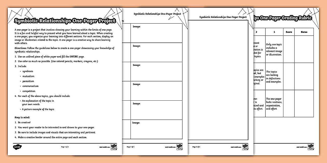Symbiotic Relationships One-Pager Project for 6th-8th Grade