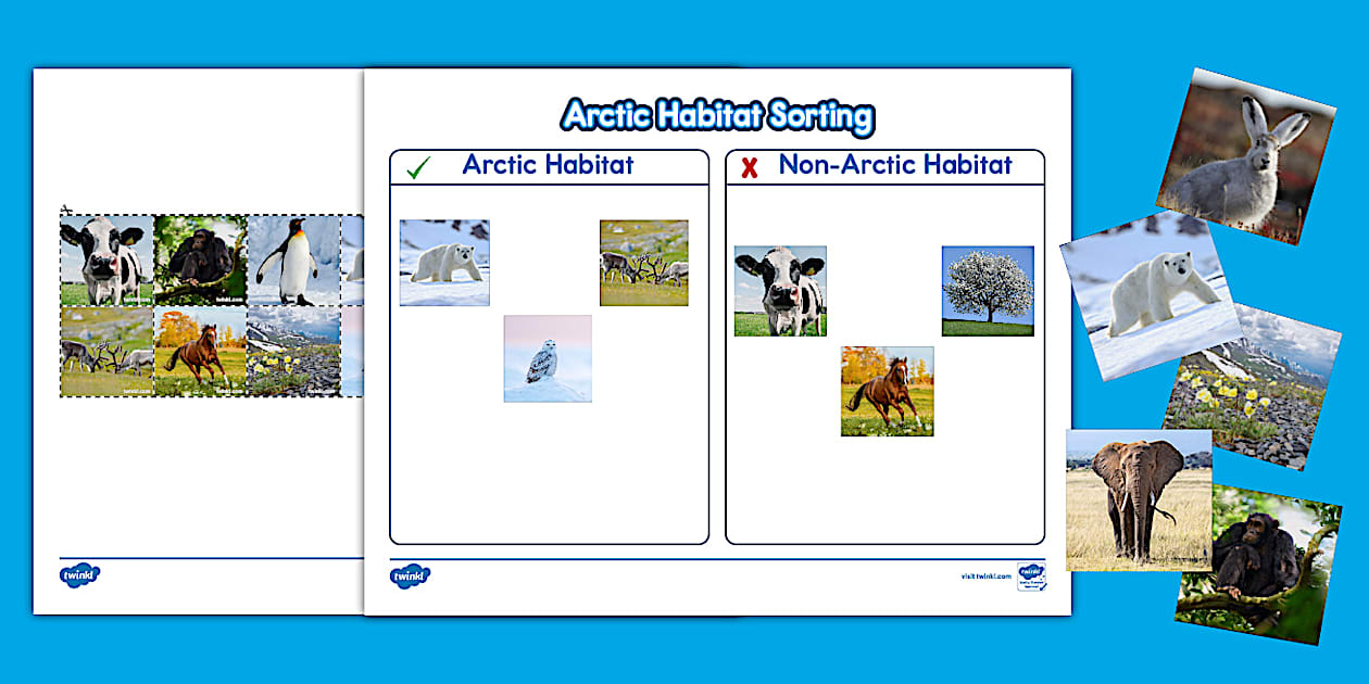 Arctic Habitat Photo Sorting Cut and Paste Worksheet for PK-K
