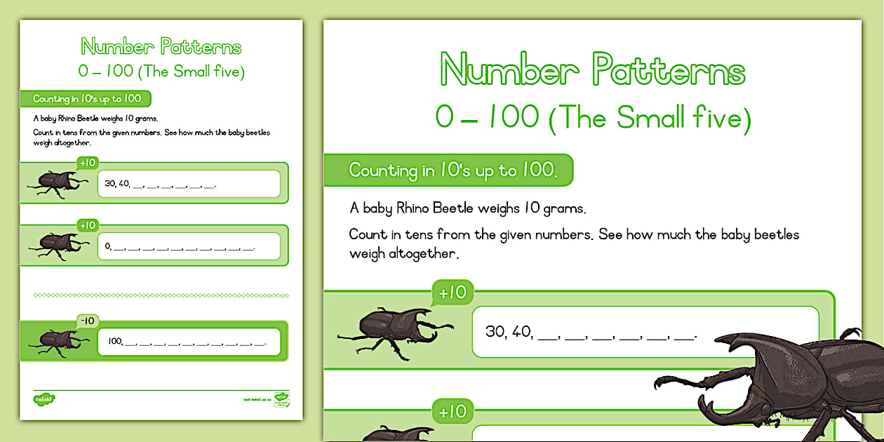 Grade 1 Maths: Number Patterns: 10's to 100 (teacher made)