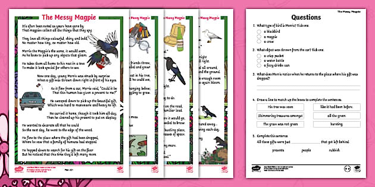 Editable The Messy Magpie Differentiated Reading Comprehension Activity