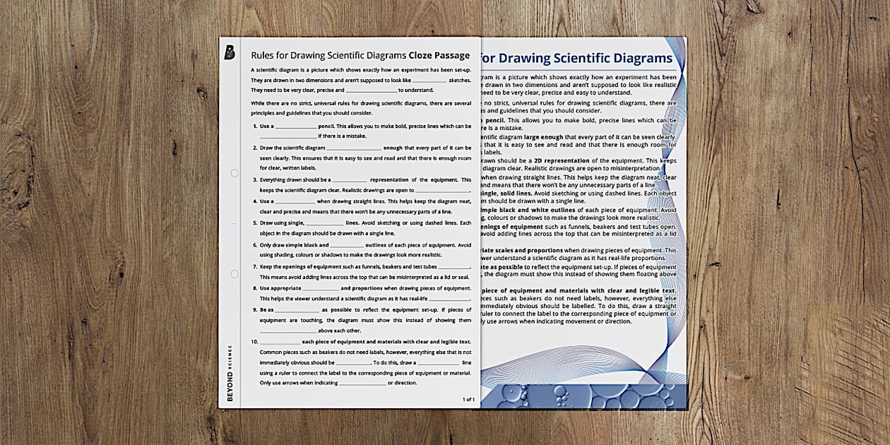 Rules for Scientific Diagrams (teacher made) - Twinkl