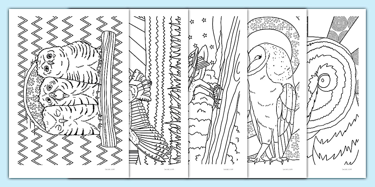 Taflenni Ymwybyddiaeth Ofalgar Tylluanod CC1/2 - Owl Mindfulness Colouring