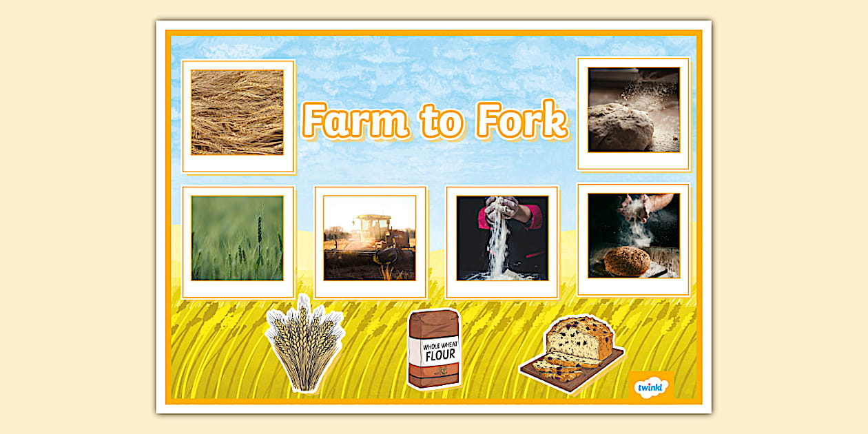 Farm to Fork Photo Display Poster (teacher made) - Twinkl