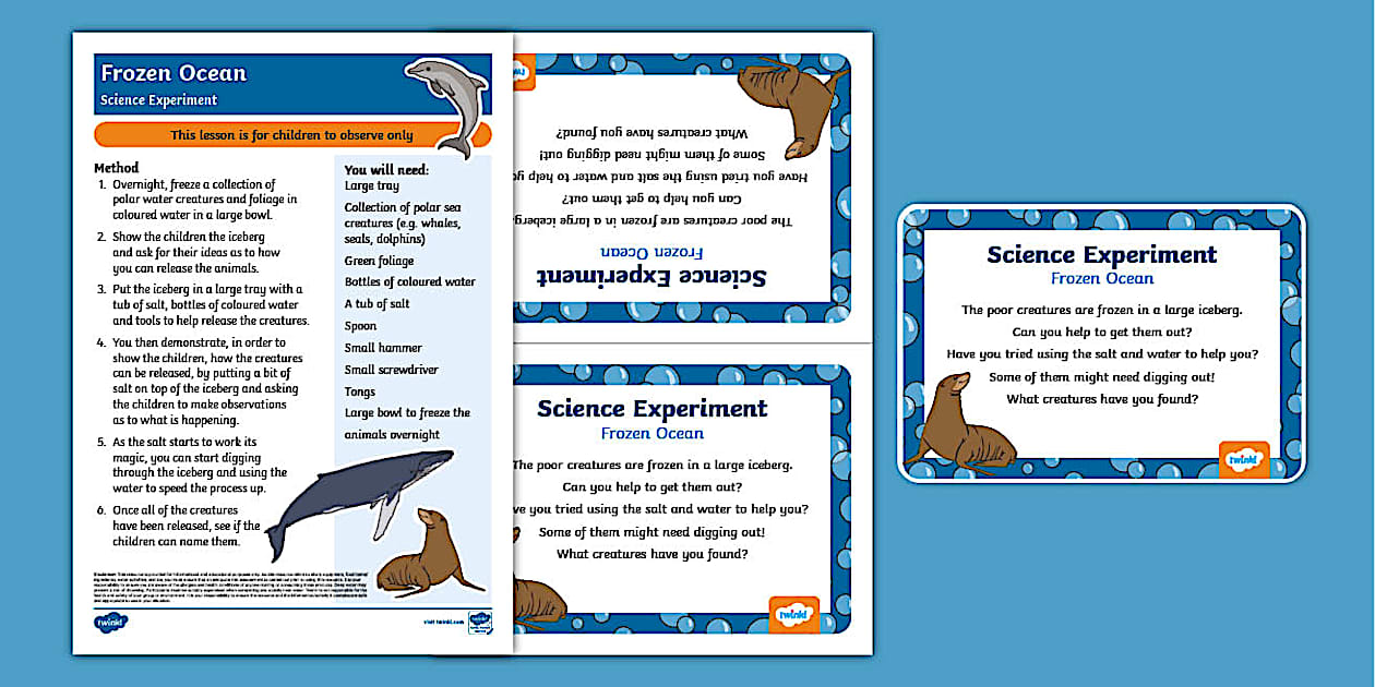 Frozen Ocean Science Experiment (Teacher-Made) - Twinkl