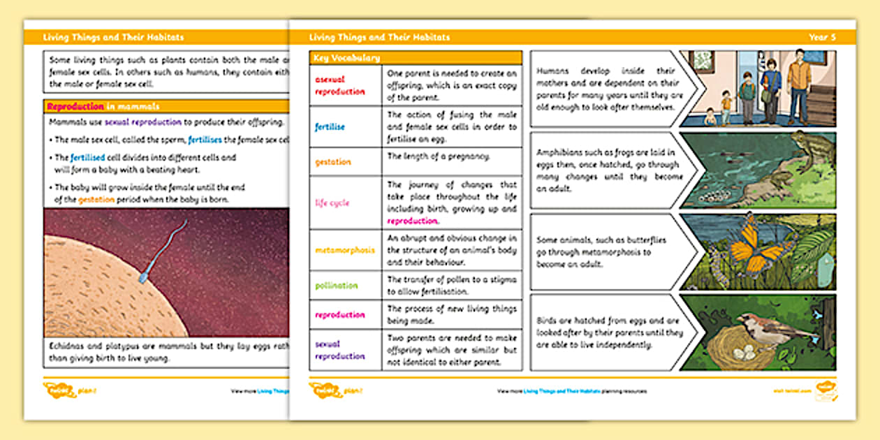 Science Knowledge Organiser: Living Things and Their Habitats Year 5