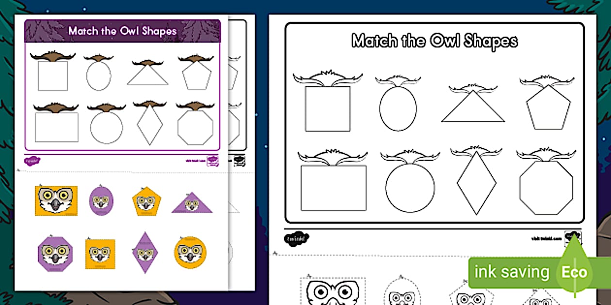 Match the Owl Shapes Worksheet (Teacher-Made) - Twinkl