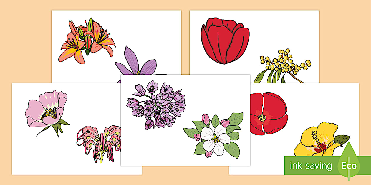 Cut-Out Flower Outline Template - Seasons - Spring - Twinkl