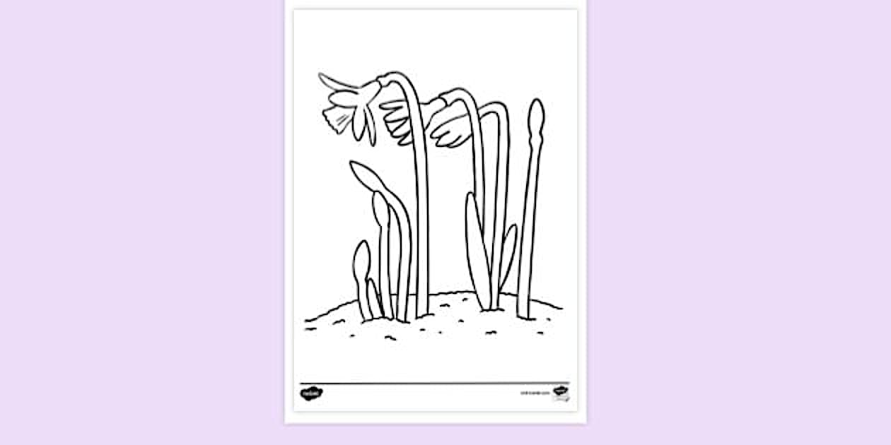 Easy Spring Colouring Page for Kids | Colouring Sheets