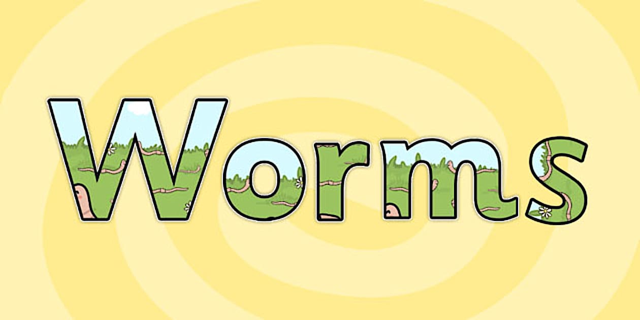 Worm Display Lettering (teacher made) - Twinkl