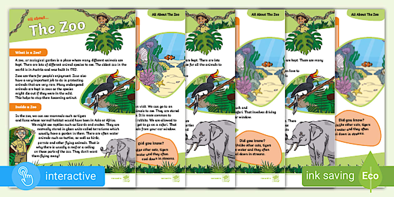 All about the zoo- Differentiated reading comprehension