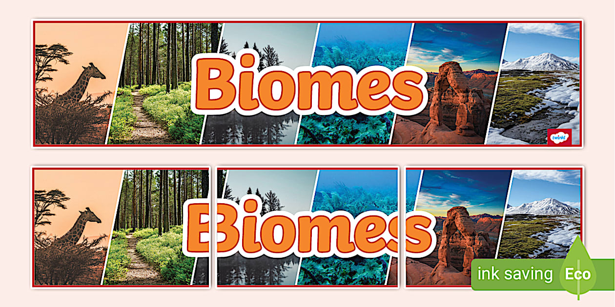 Biomes Photo Display Banner (teacher made) - Twinkl